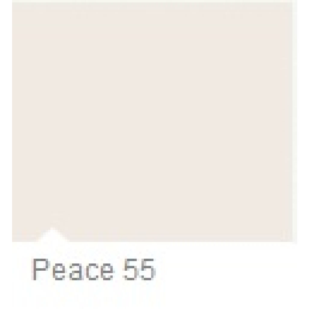 Jub 1.5mm Silicone Topcoat Peace 55 - Direct Building Products